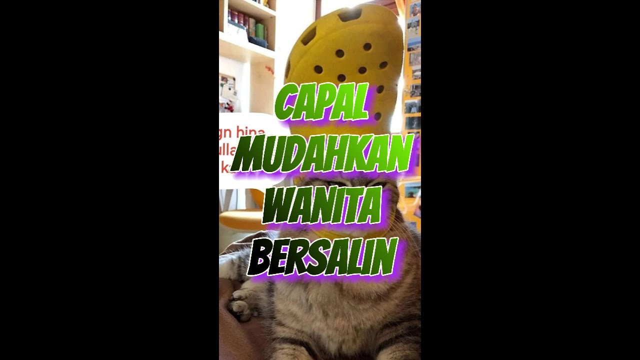 Logo Capal Mudahkan Bersalin | Nasrul Nasir | Dr. Maza - YouTube