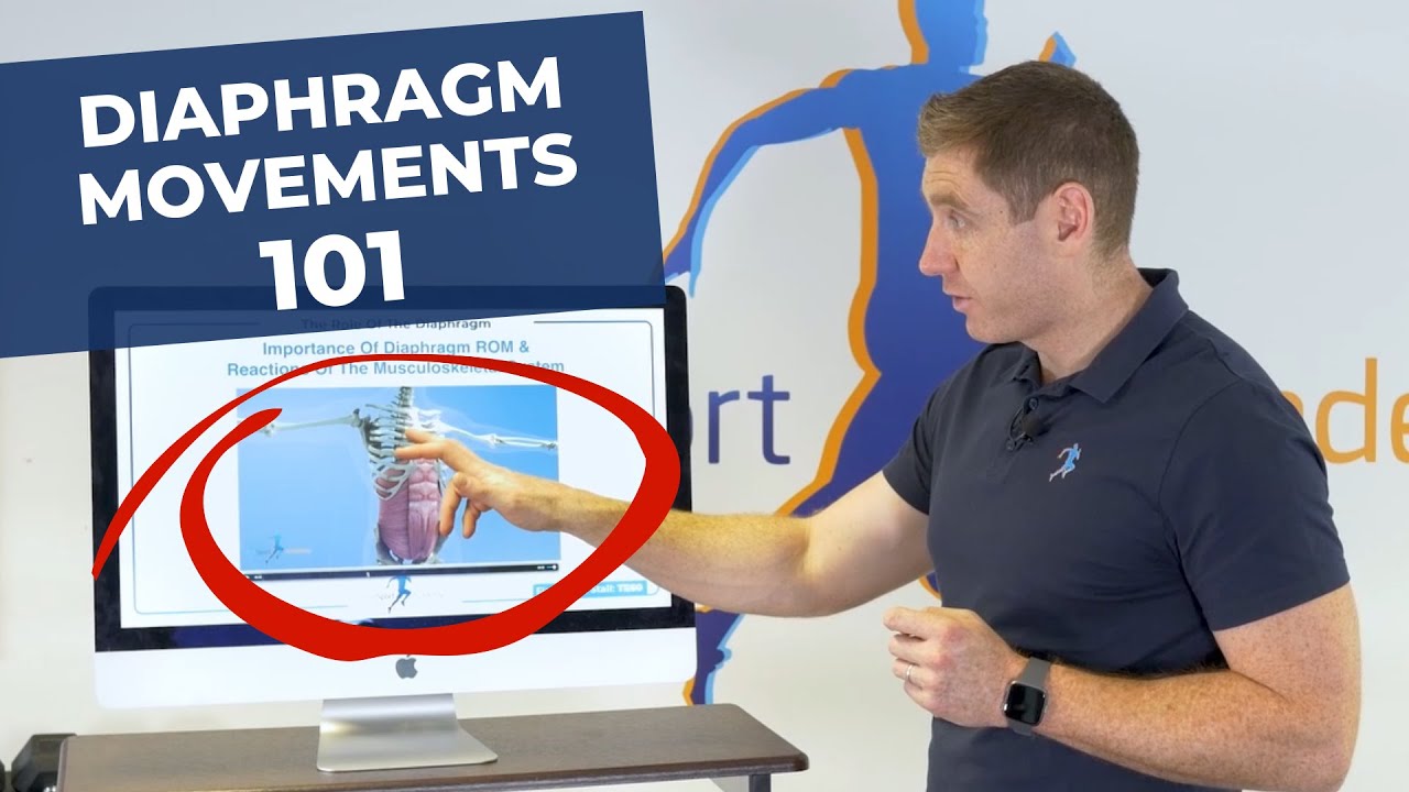 Diaphragm And Pelvic Floor Movements 101 & Their Unique Relationship To ...