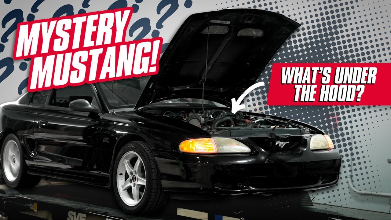 Stroker 302?! Mystery Modded 1995 Mustang GTS Hits the Dyno! - YouTube