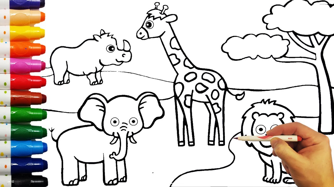 How to draw ZOO Animals | Drawing, Painting, Coloring for Kids and ...
