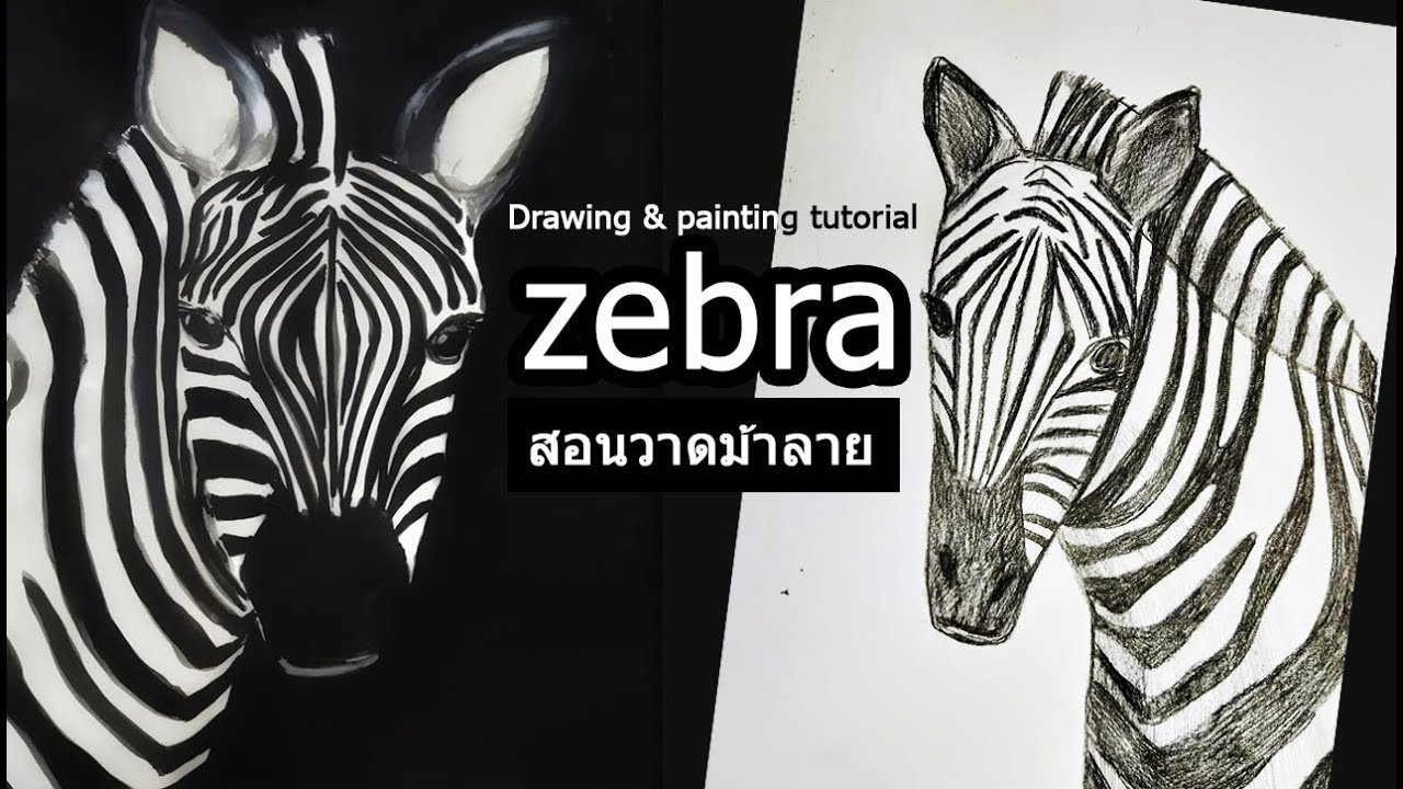 Ep. 64 Zebra drawing & painting tutorial - YouTube