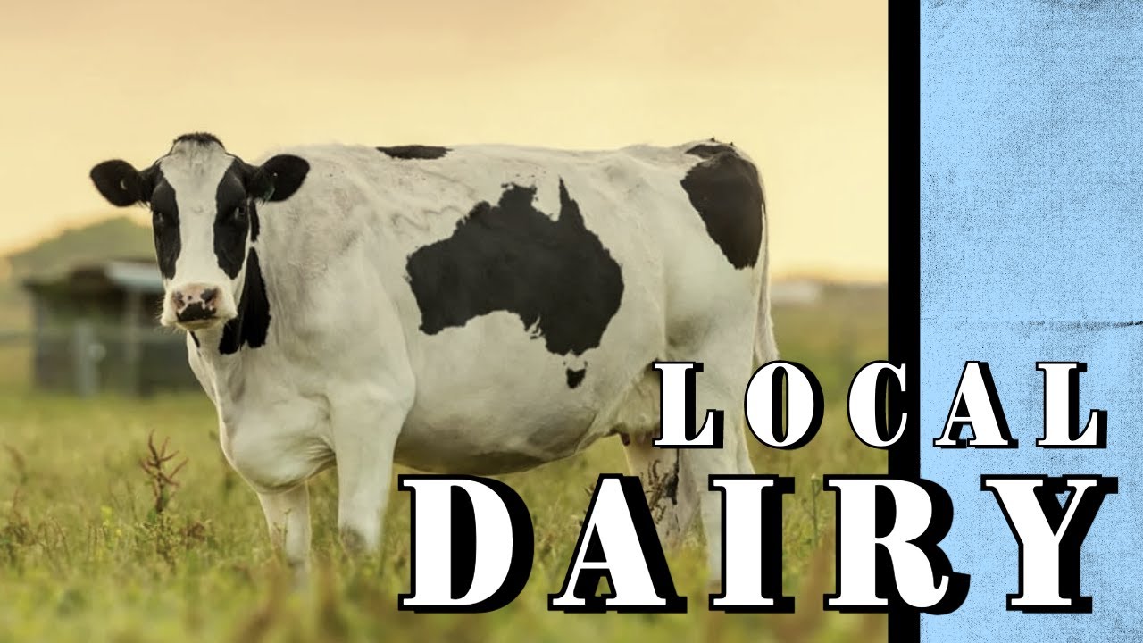 Local Dairy | Alabama Short Documentary - YouTube
