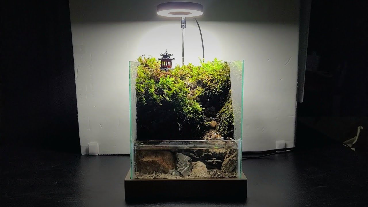 I Built a Mini Waterfall Paludarium From Scratch (Noob Build) - YouTube