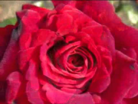 Jenom jednu mamičku máš♥.wmv