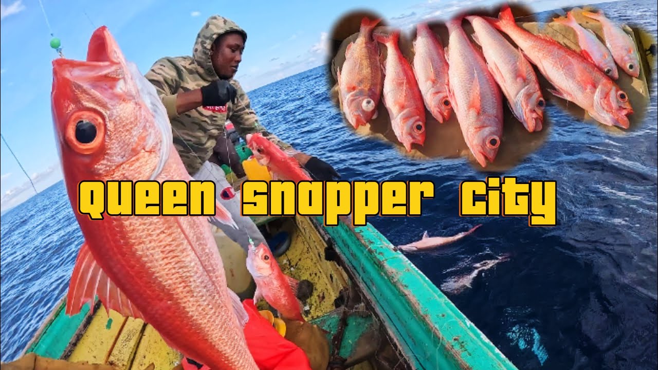 Queen Snapper City - YouTube
