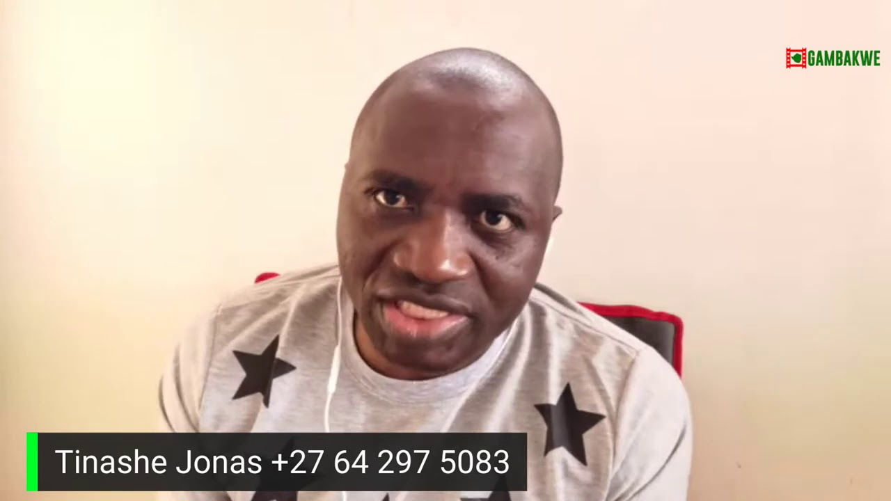 Tinashe Jonas Speaks On US Ambassador, Brian Nichols's Interview - YouTube