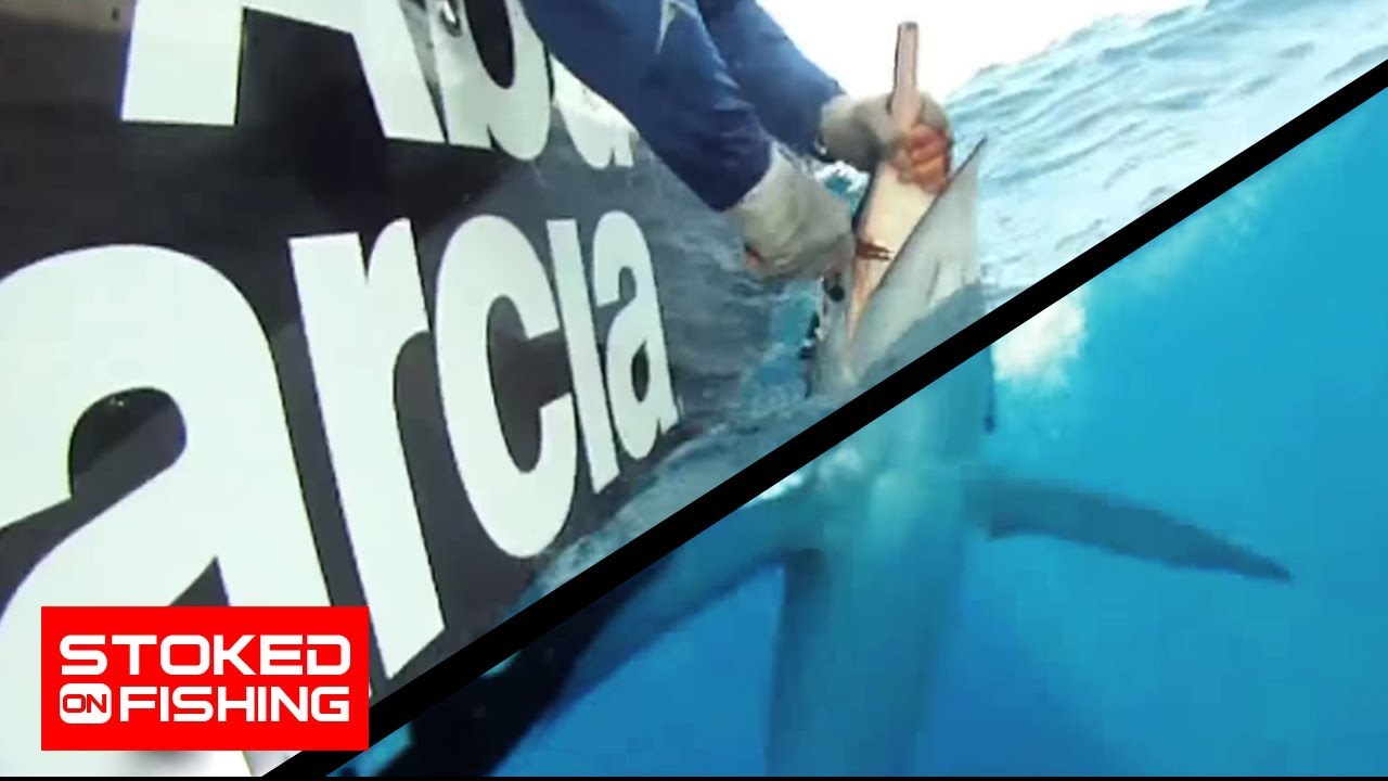 Marlin Fishing with Jimmy Decker - YouTube