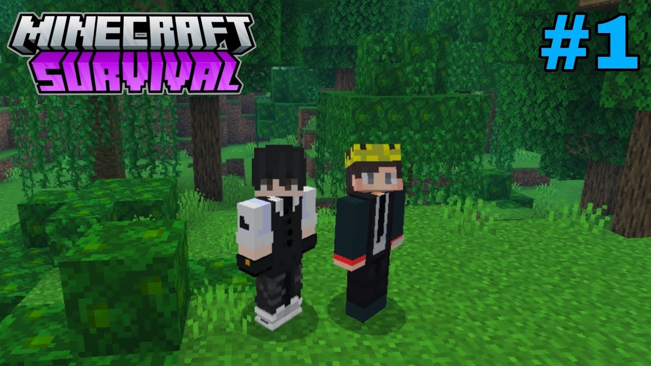 Minecraft new Survival series with my friend live 😃 - YouTube