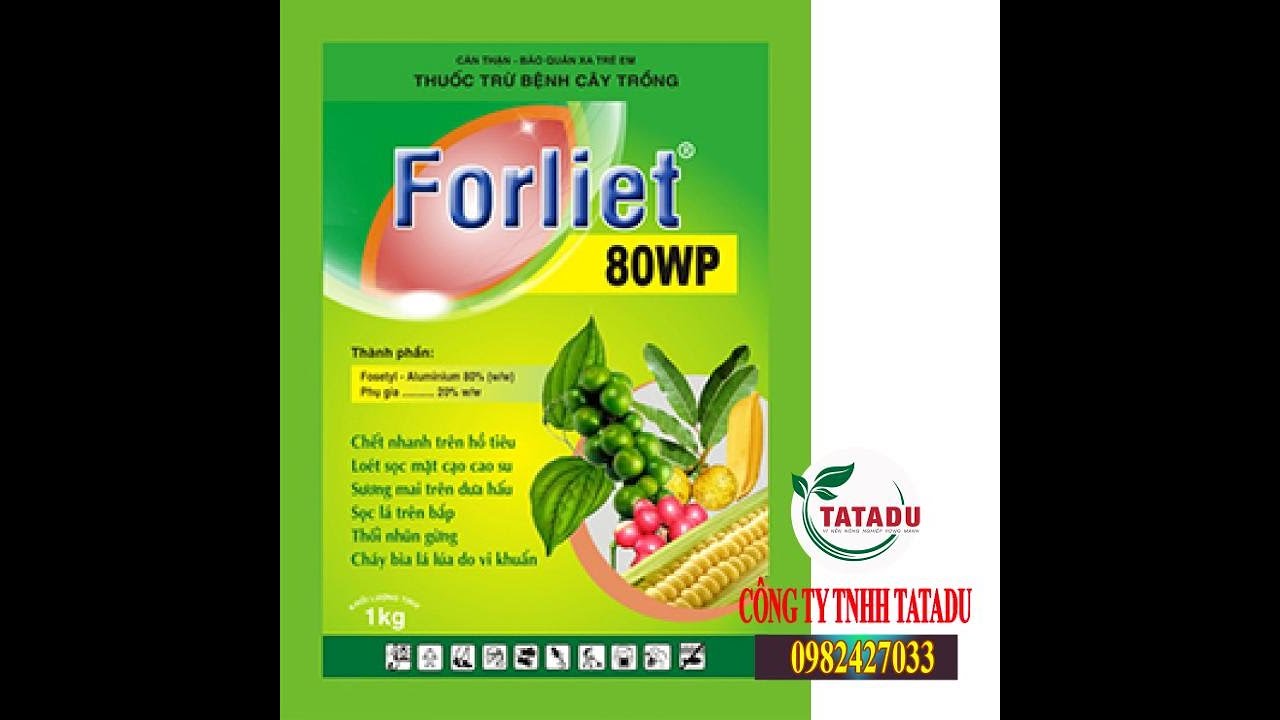 FORLIET 80WP – THUỐC ĐẶC TRỊ BỆNH CHẾT CHẬM GÂY HẠI CHO CÂY TIÊU - YouTube