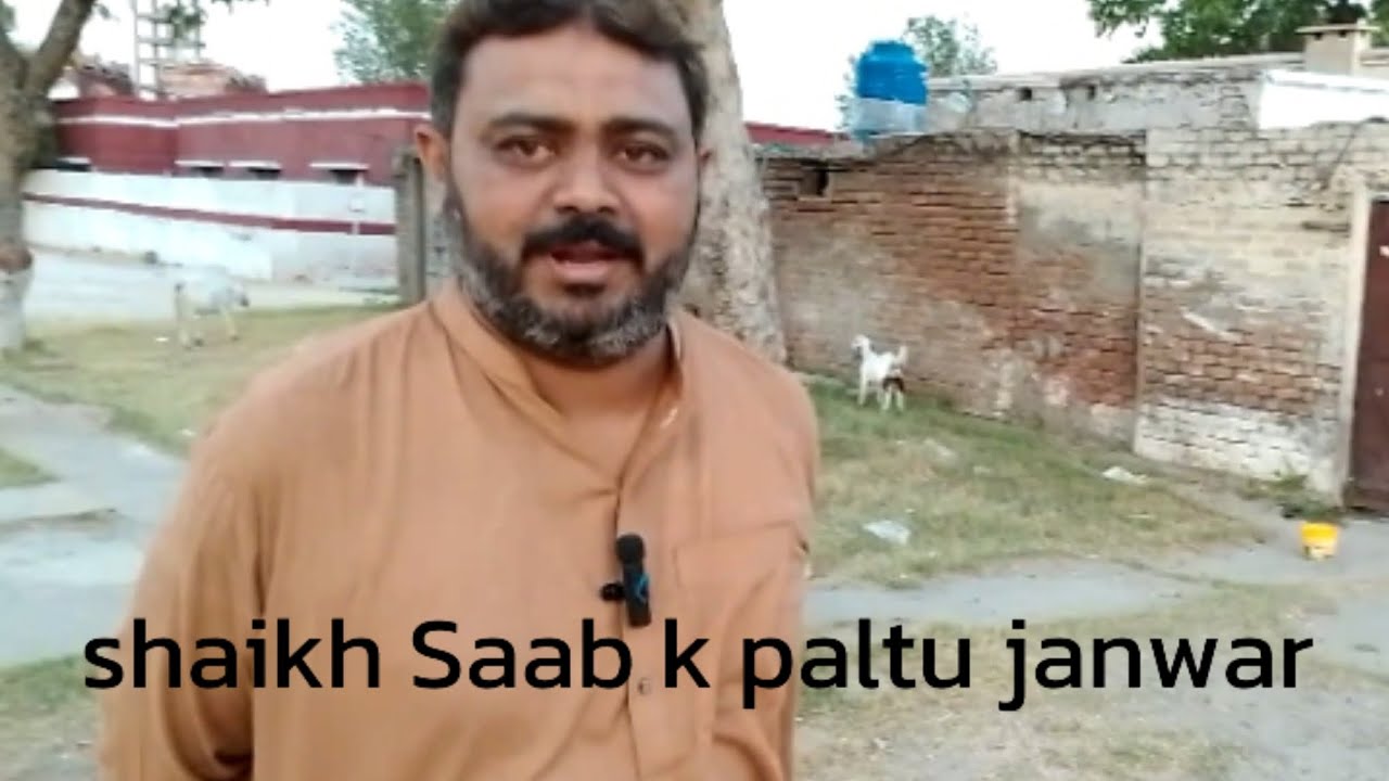 shaikh Saab k paltu janwar - YouTube