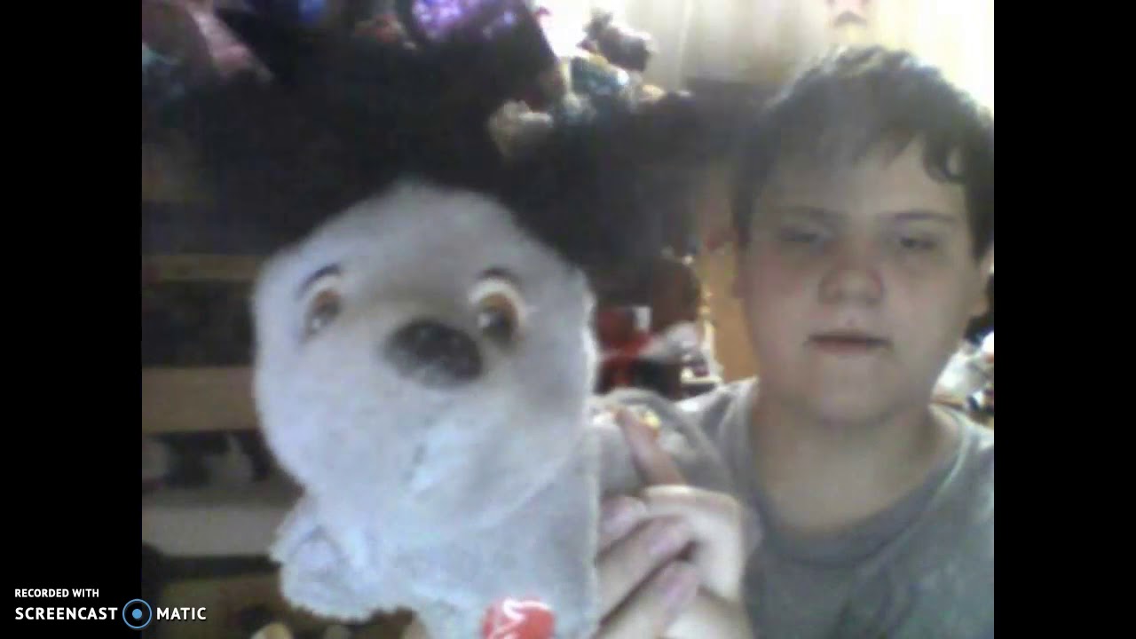 dan dee 2018 ear flapping dog - YouTube