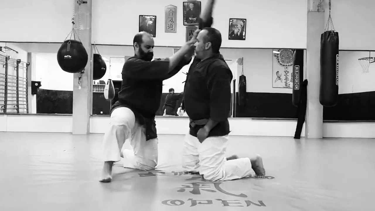 Seishinkai Aikijujutsu - YouTube