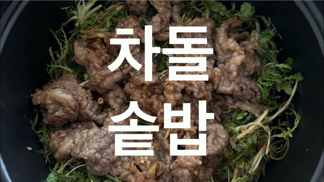 차돌박이 냉이 솥밥 | beef brisket, shepherd's purse hot pot rice | 锅饭 | 釜飯 _ 일상 ...