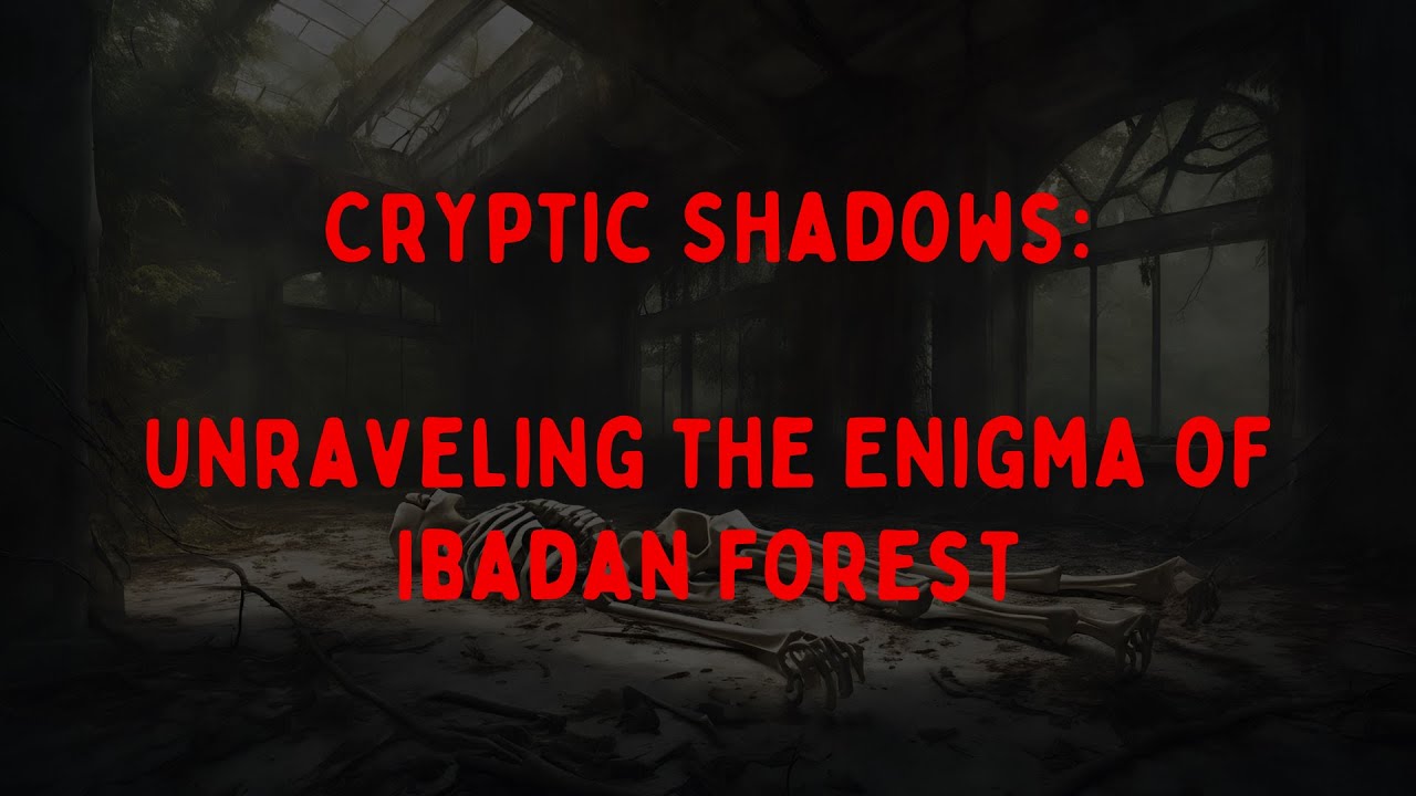 Cryptic Shadows: Unraveling the Enigma of Ibadan Forest | The Dark Old Days - YouTube