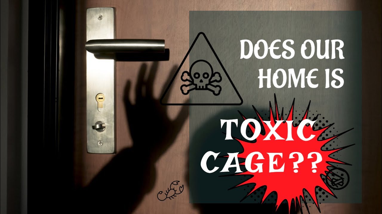Toxic Cages | The Hidden Dangers of Our Homes - YouTube