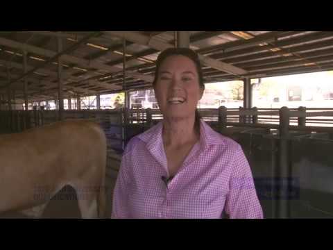 CQUniversity - Dr Amy Cosby - YouTube