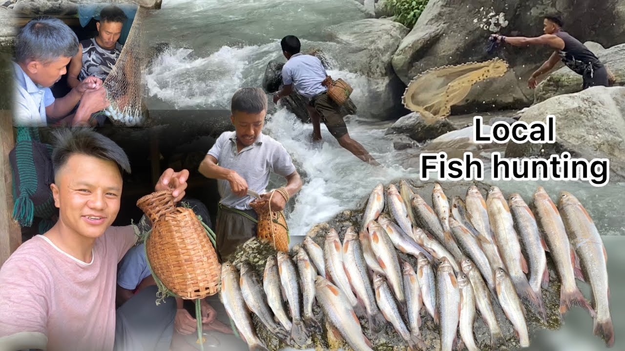 Local fish hunting (जालमा धेरै माछा पर्यो)|| Midim khola || Bhujung ...