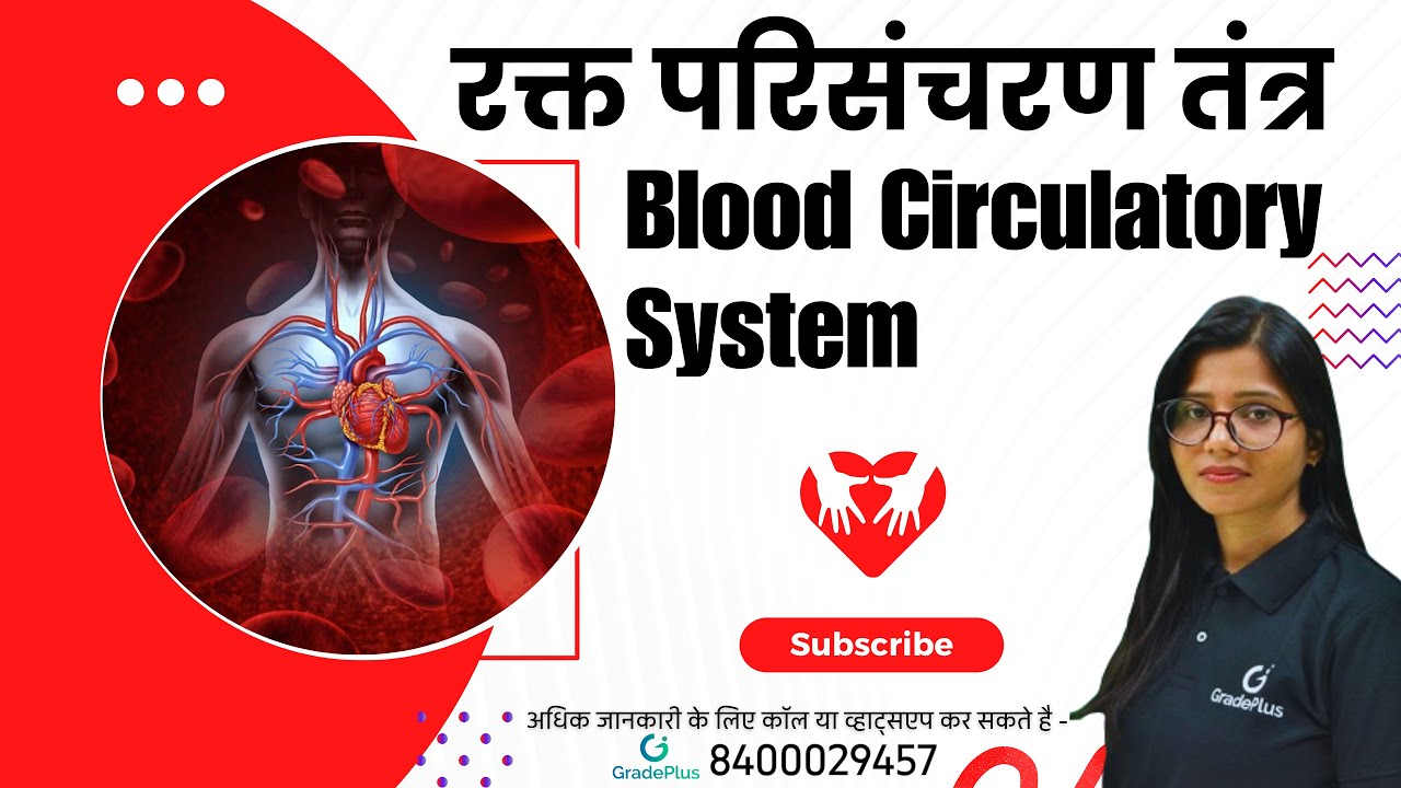 Understanding Human Blood: Structure, Function, and Importance : Blood ...