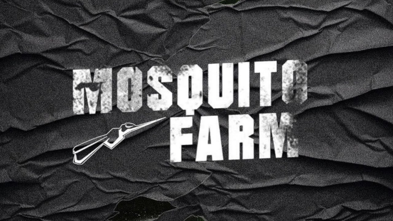 MOSQUITO FARM EN CONCIERTO - YouTube