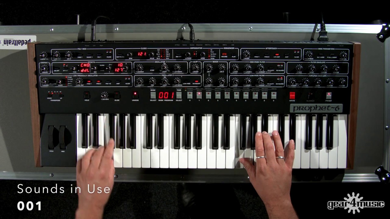 Sequential Prophet 6 6-Voice Analog Synthesizer | Gear4music demo - YouTube