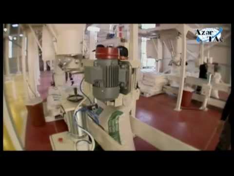 President Ilham Aliyev attended opening ceremony of Gilan feed processing factory