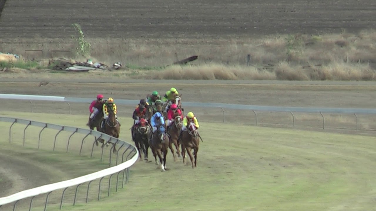 THANGOOL CUP RACES 8th Septmeber 2018 - YouTube