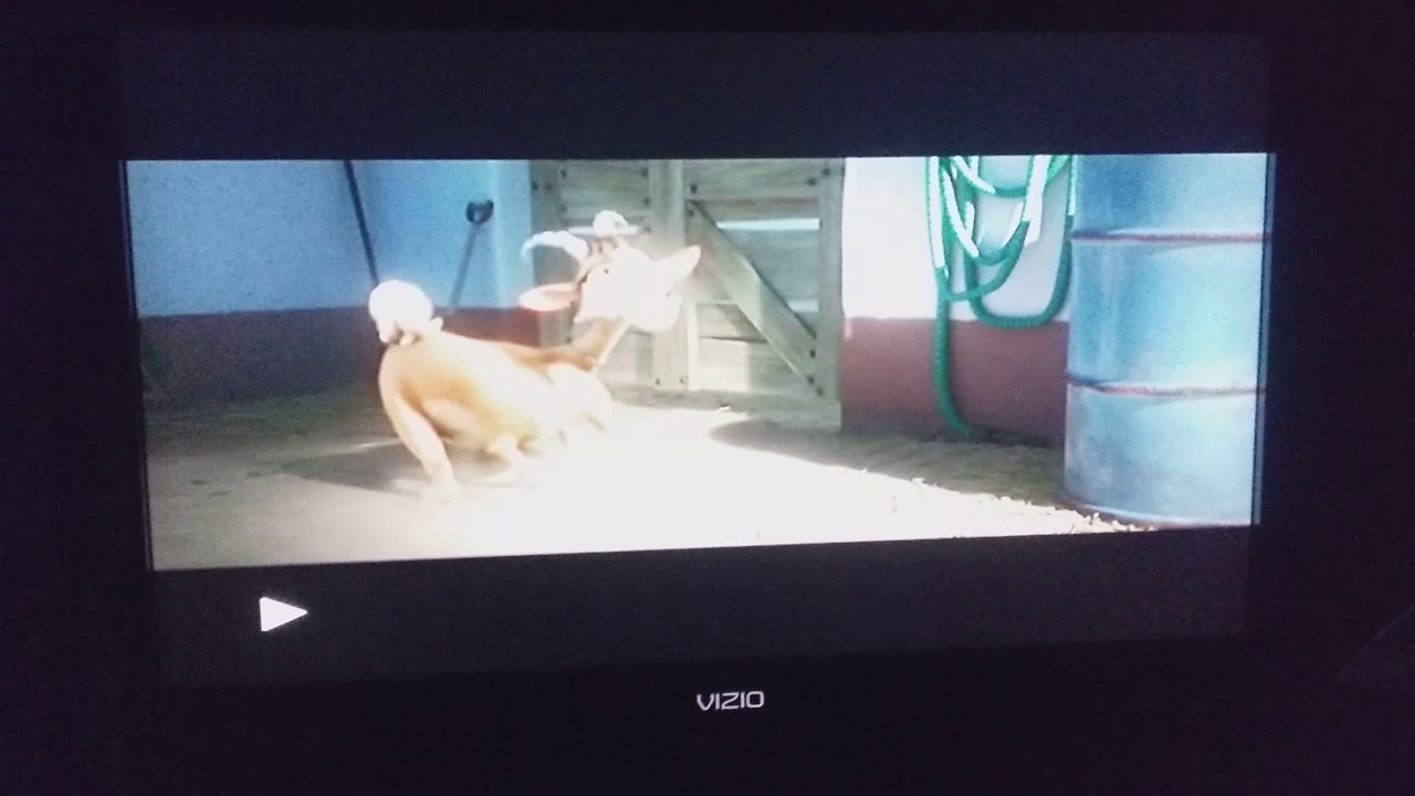 Lupe the goat twerking - YouTube