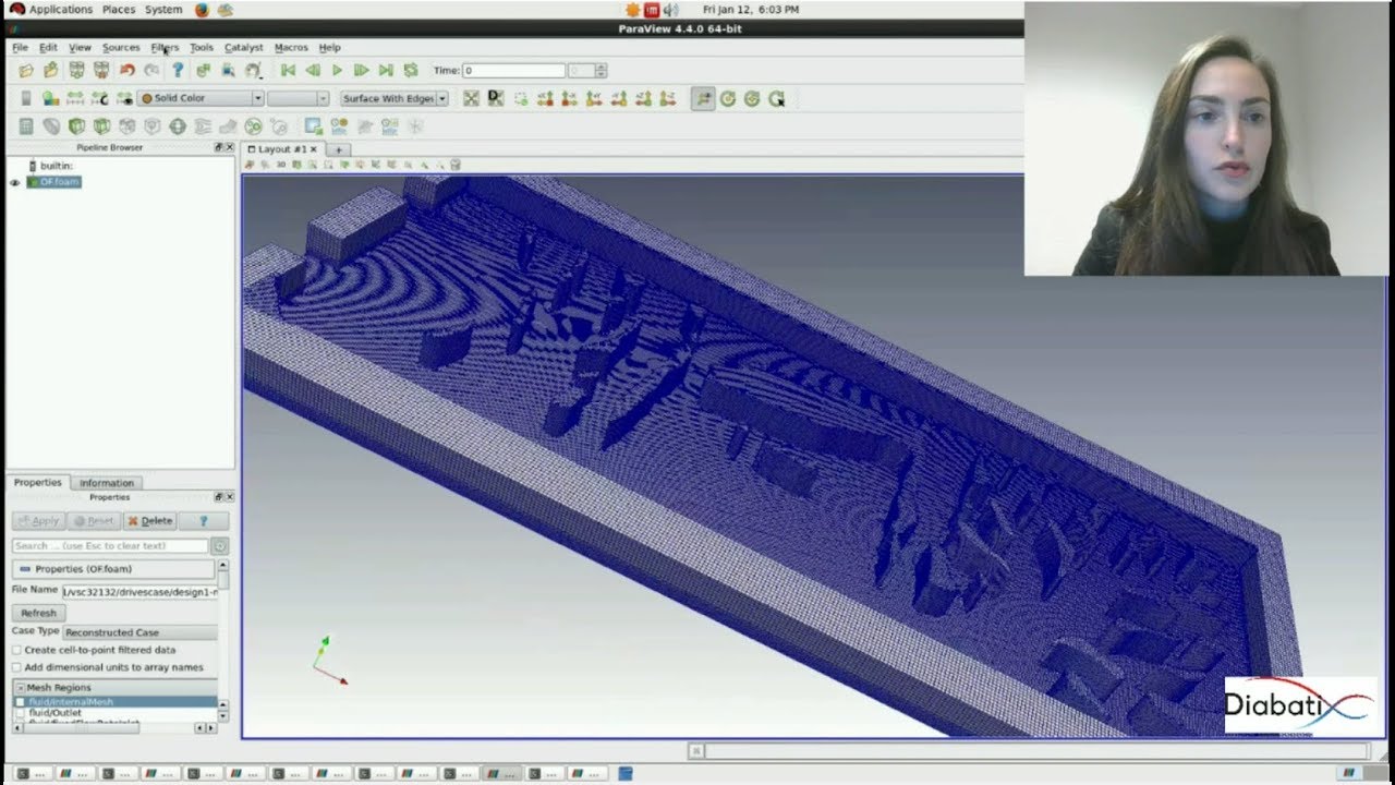 ParaView Tips'n Tricks - Hidden mesh secrets | Tech Queen Roxy - YouTube