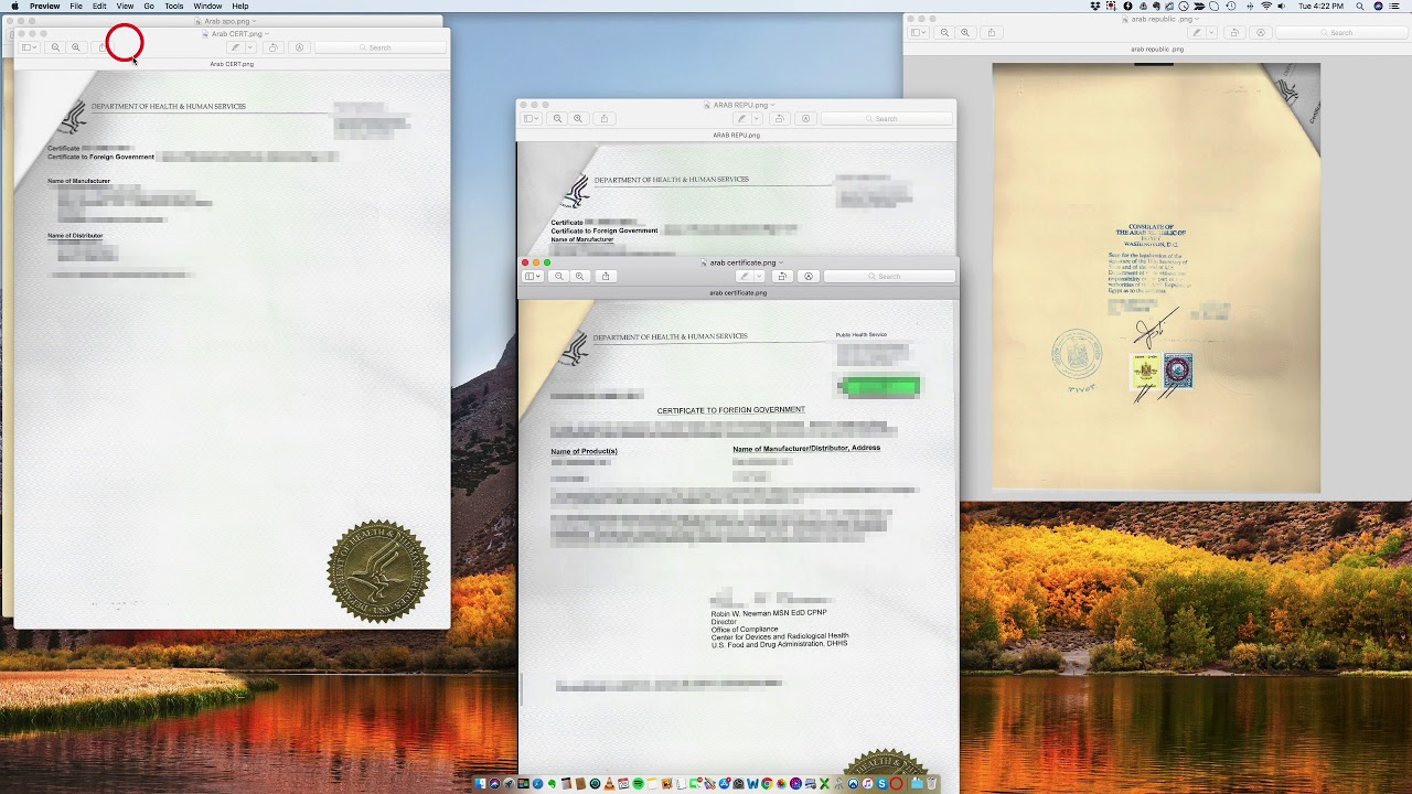 How to legalize a Certificate to foreign government at the Egyptian ...