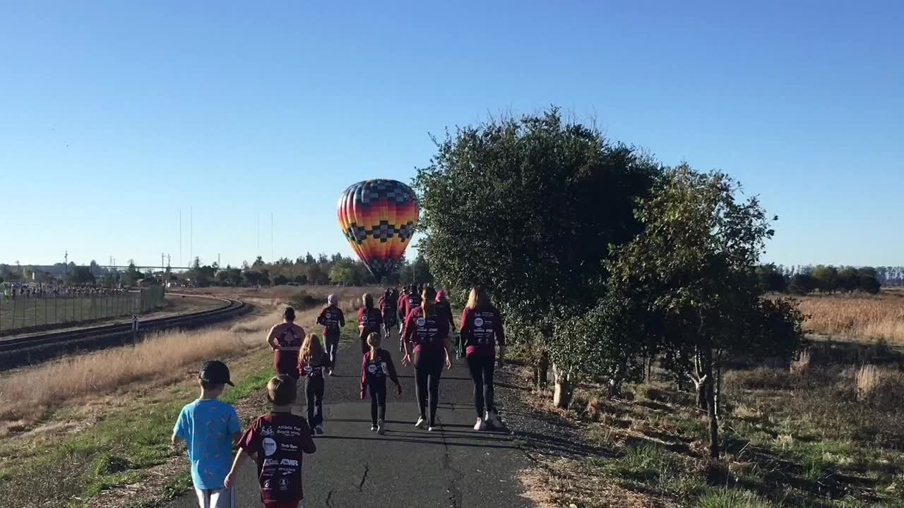 Napa Valley Turkey Chase - YouTube