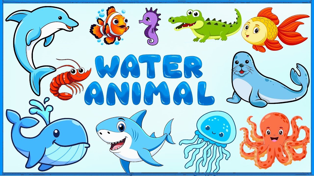 Learn 15 Water Animals for Kids | Sea Creatures Names with Pictures ...