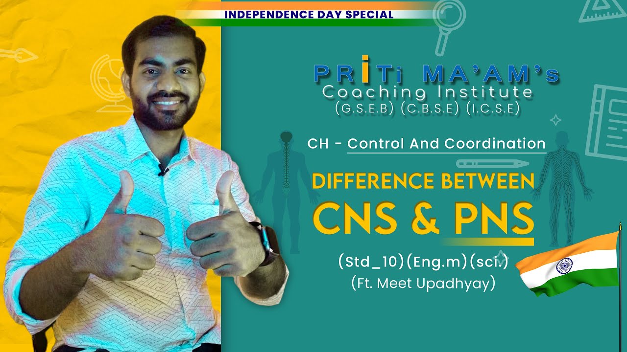 CNS & PNS (Central nervous system) & (Peripheral nervous system) Ch 7 ...