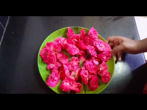 Top 3 indian sherbat recipes/ginger sharbat/lemon mint sharbat/rose ...