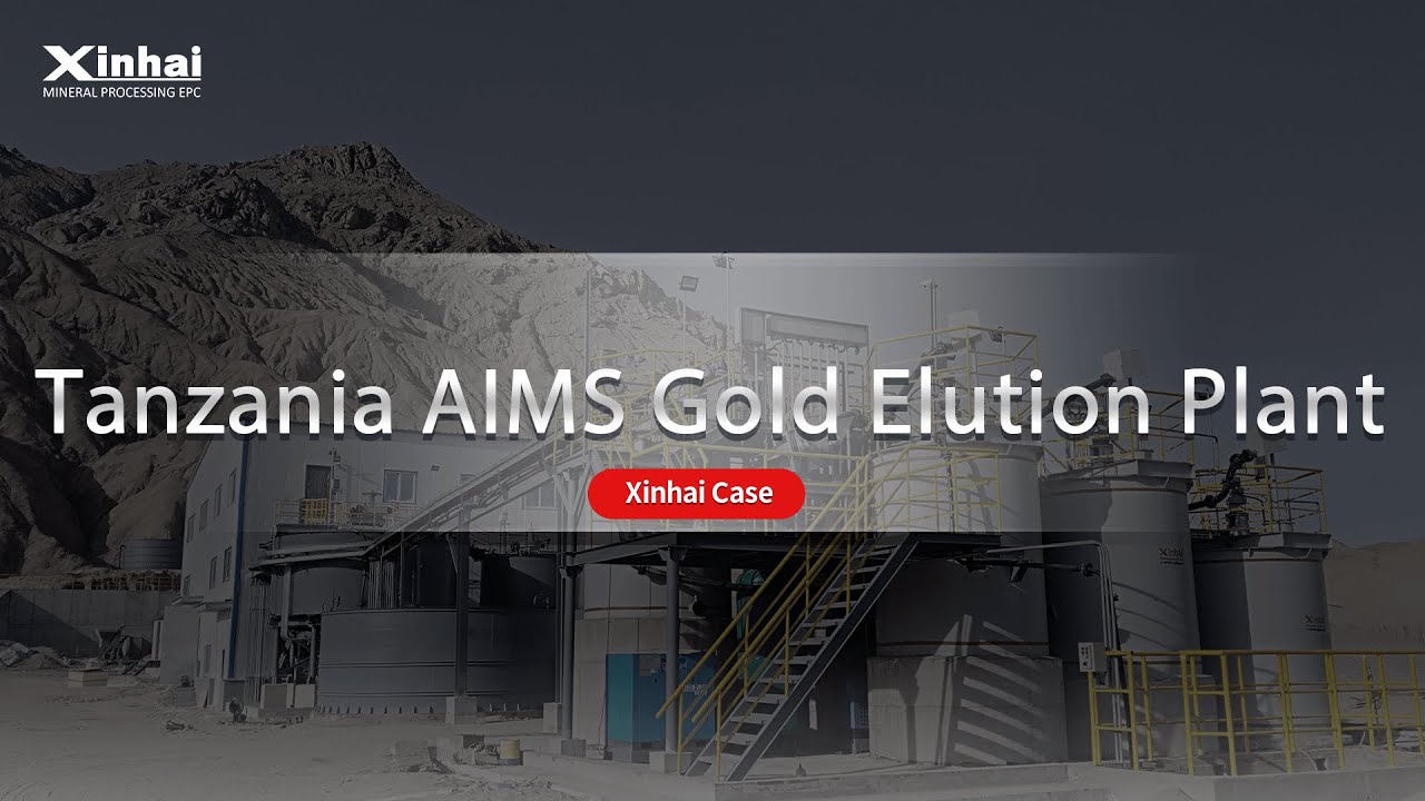 Tanzania AIMS 500Kg and 1000kg /batch Gold Elution Plant，Xinhai - YouTube
