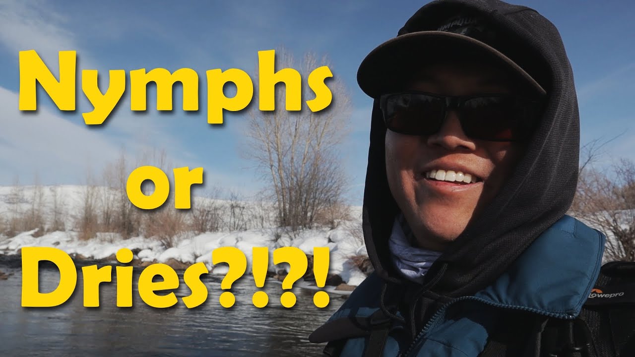 Nymphing or Dry Fly Fishing??? - YouTube