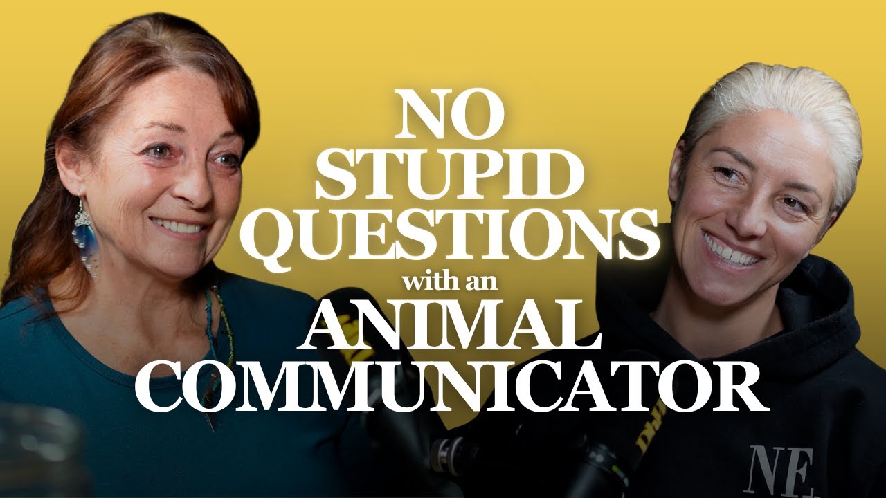 No Stupid Questions with Animal Communicator, Delaya Diana - YouTube