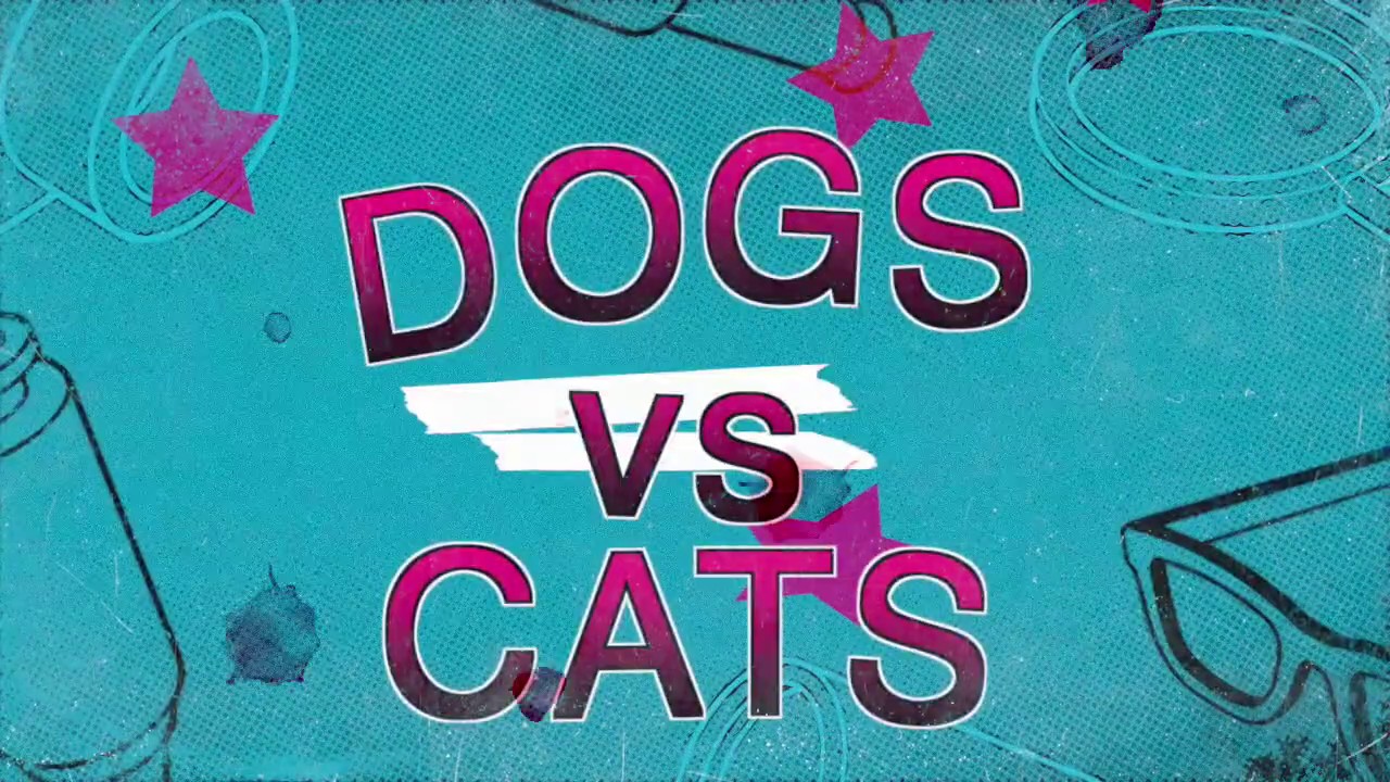 Focus Game "Cat or Dog" - YouTube