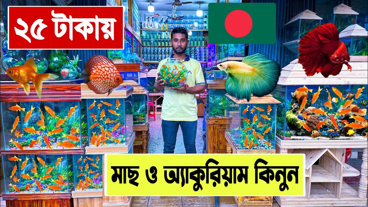 25 টাকায় 🔥মাছ ও অ্যাকুরিয়াম কিনুন | aquarium fish price in bangladesh ...