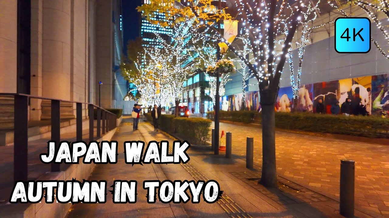 [Japan Walk 4K] Japan walking tour autumn in tokyo city suburbs ...