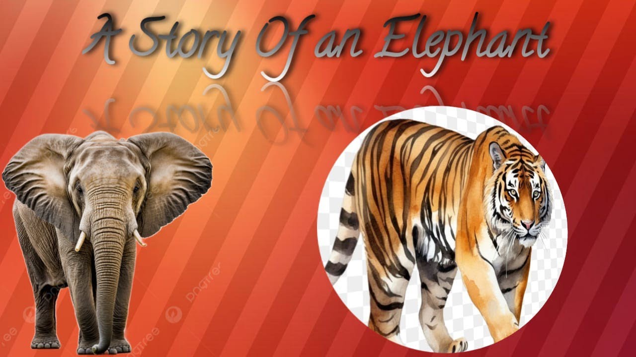 A story of An Elephant //Stories for kids//By Martha - YouTube
