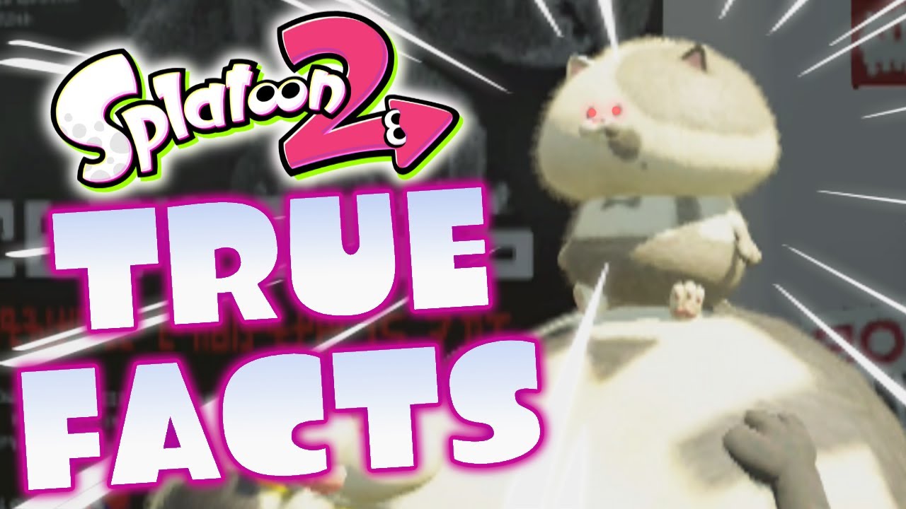 30 CRAZY SPLATOON 2 FACTS [Lil Judd is DANGEROUS?!] - YouTube