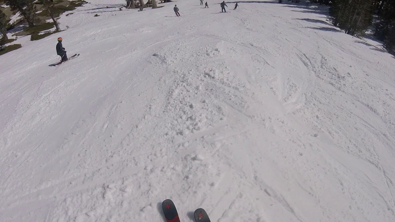 Bri Arch Brun fam - YouTube