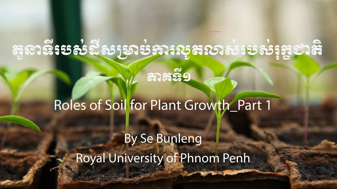 Lesson 3. Role of Soil 4 Plant Growth_Part1 - YouTube