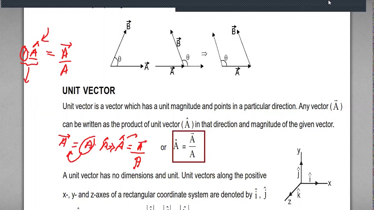 Basics for JEE/NEET introduction of vector's short trick - YouTube