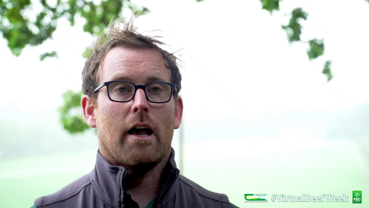 Grassland Management - Sean Roddy - Virtual Beef Week - YouTube