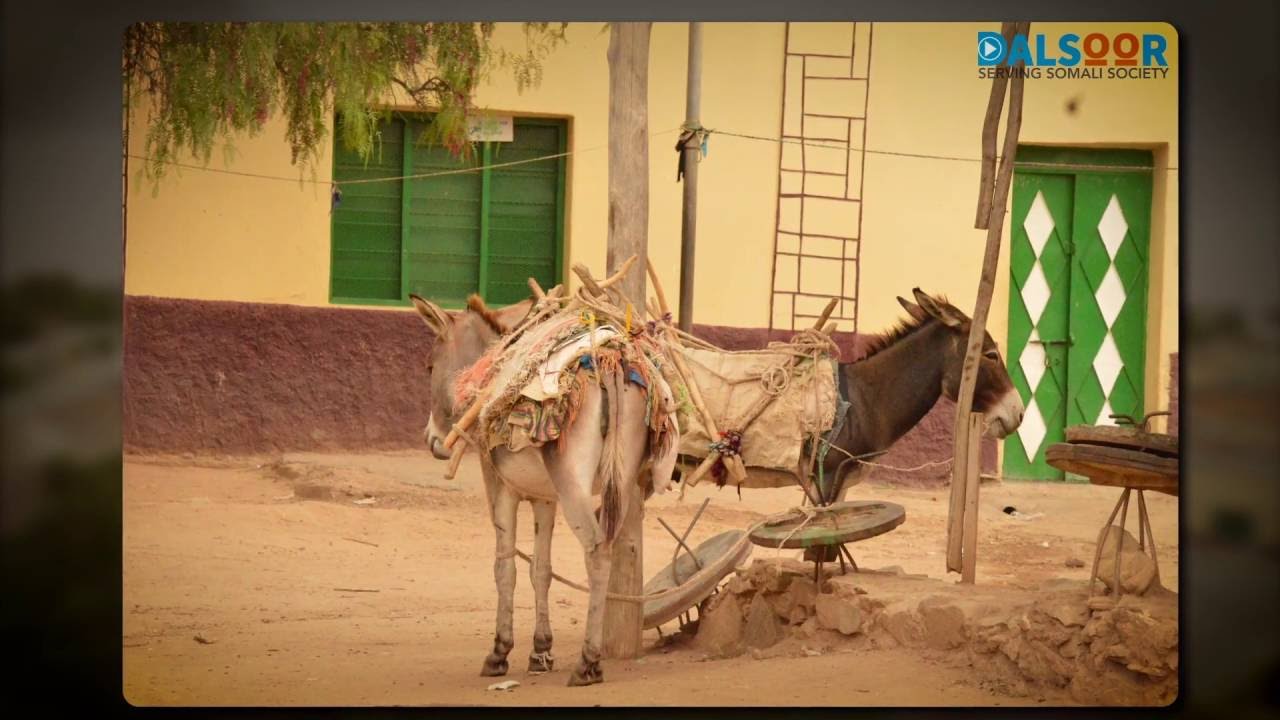 Sawirrada Gabiley - Gabiley Pictures - YouTube