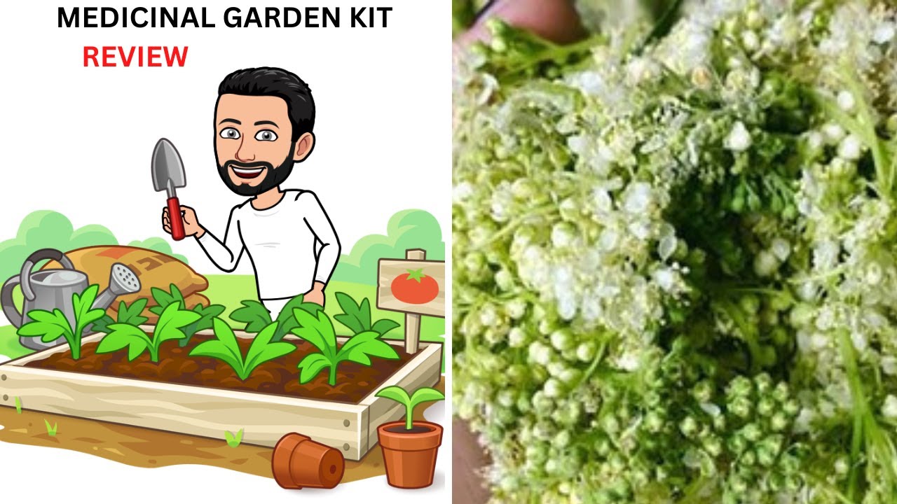 Medicinal Garden Kit Review Medicinal Garden Kit work Watch before Buy ...