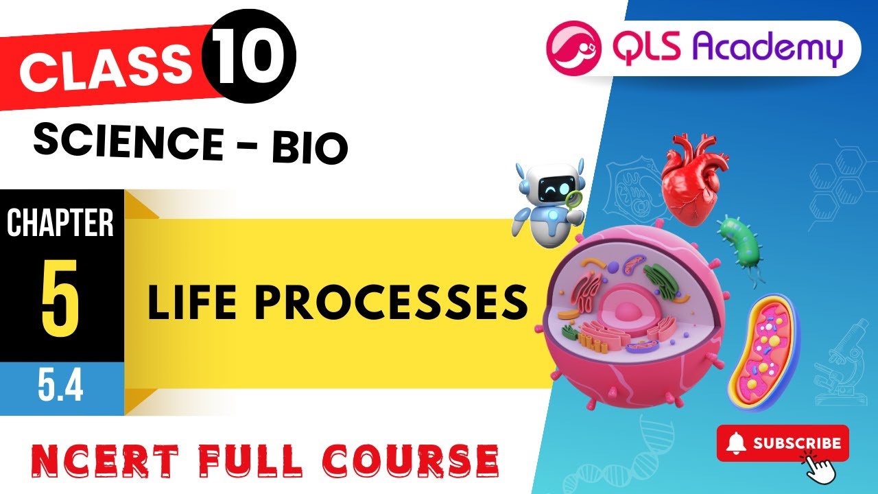 Class 10 Science Chapter 5 | Life Processes | Lesson 5.4 | Latest Full ...
