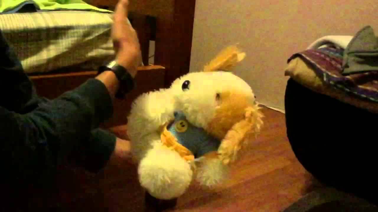 Slapping Teddy Bears - Slow Mo - YouTube