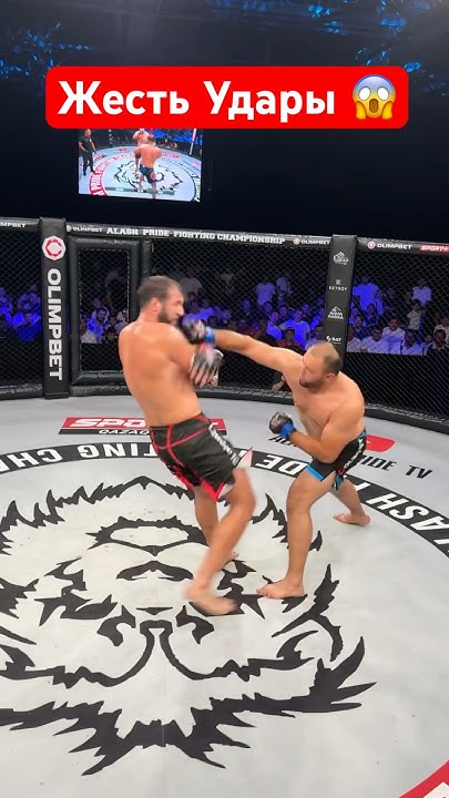 Супер тяж удары страшно 😦 #combatsport #боец #martialarts #ufc #мма # ...